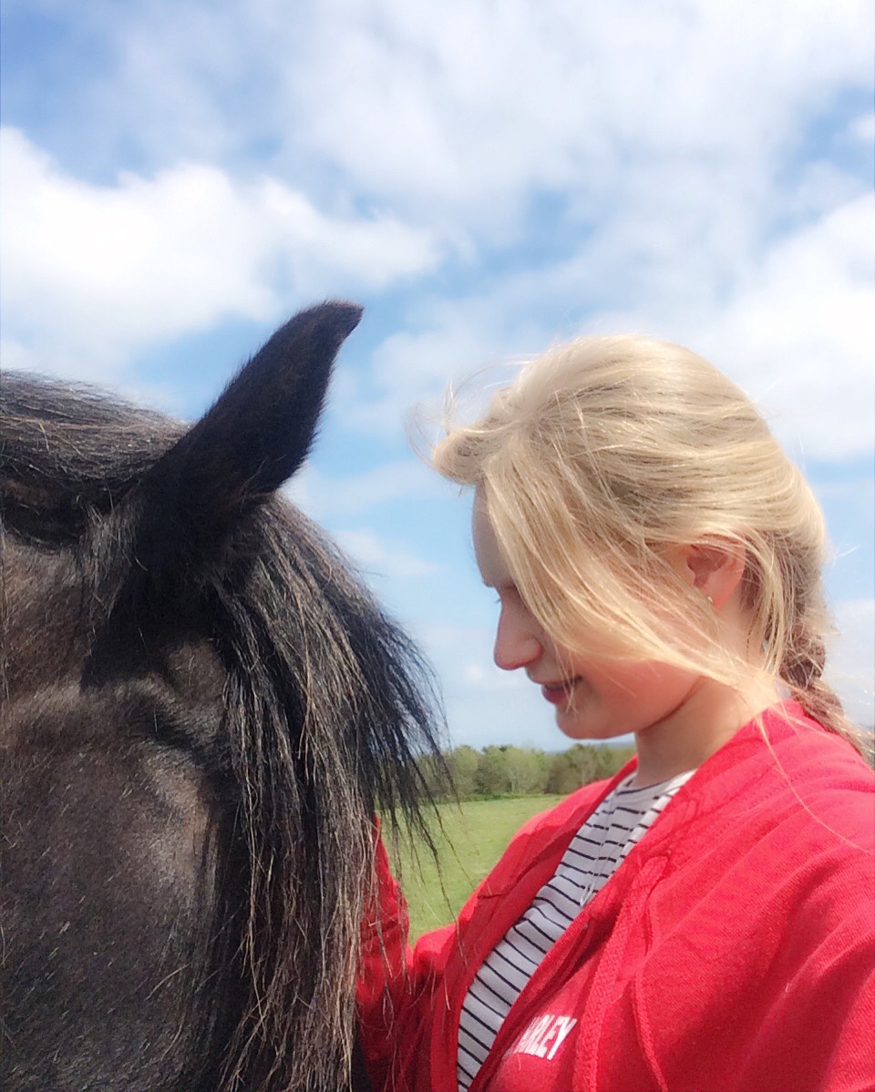 What kind of relationship do you want with your horse? – BBequines