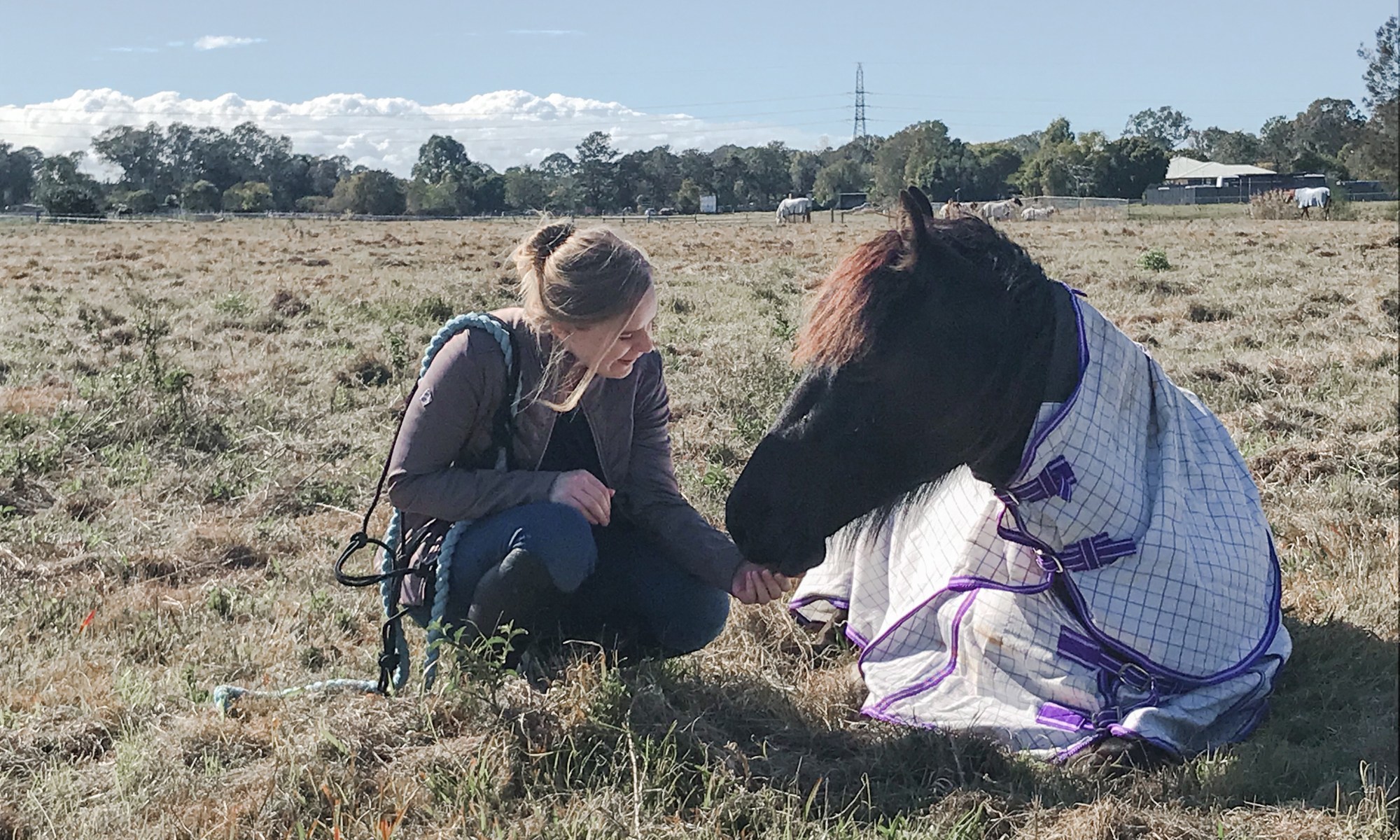 Bryni’s Training Plan – BBequines