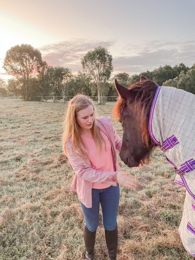 How to build a connection with your horse – BBequines