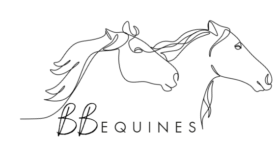 The BBequines- Bo and Flicka – BBequines