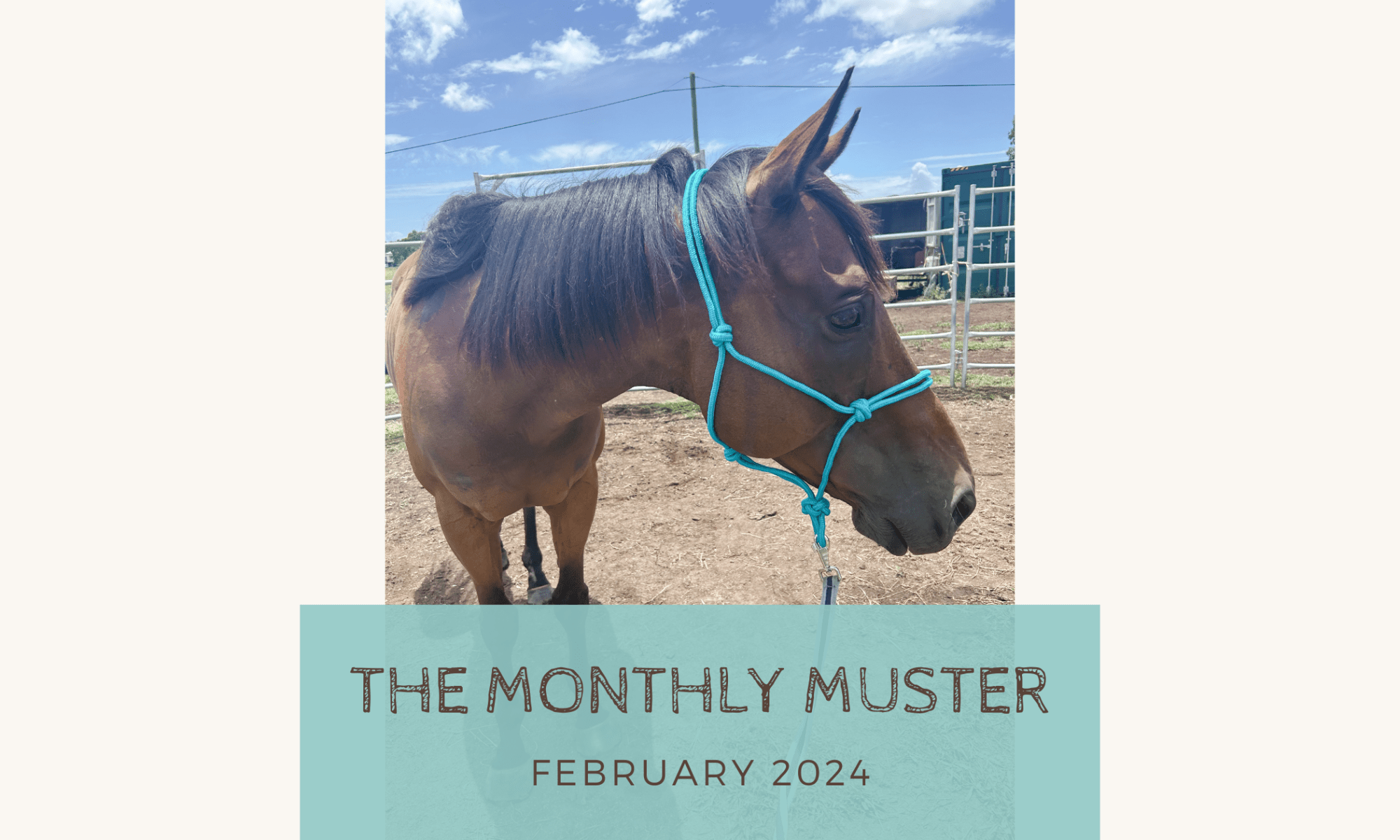 Ups and downs – BBequines